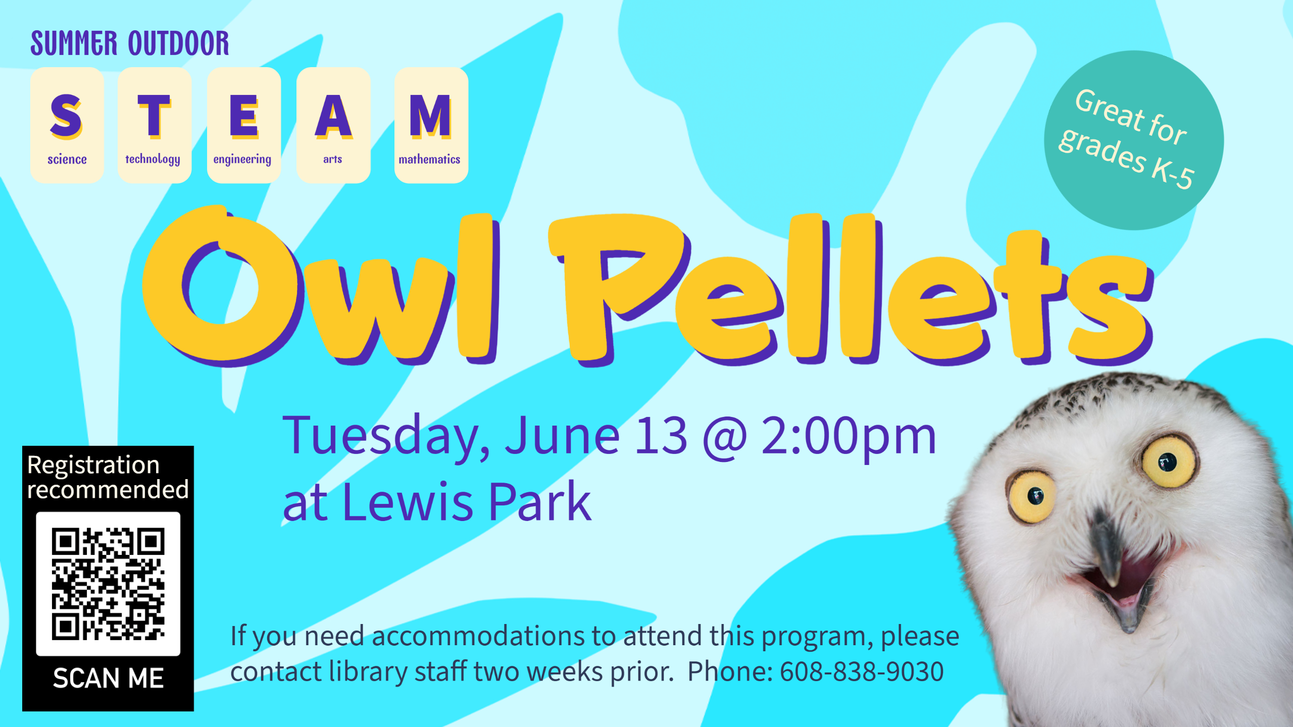 Summer STEAM: Owl Pellets | E.D. Locke Public Library